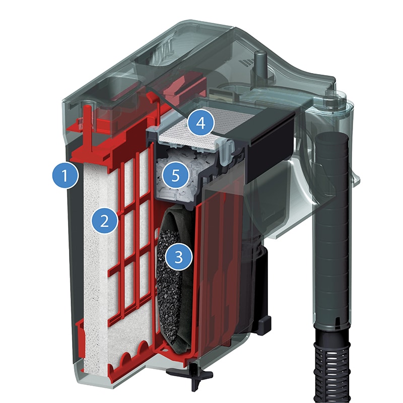 Fluval C3 – Paulo Vieira Aquários